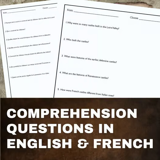 Loire valley châteaux French reading activity