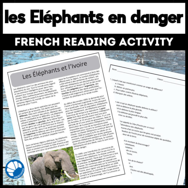 Versailles French reading activity