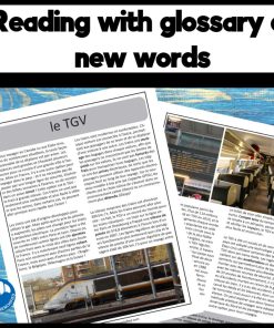 The TGV French reading comprehension activity