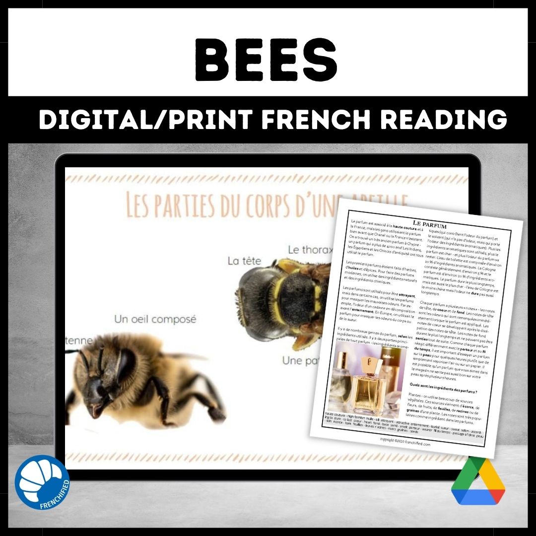 Les abeilles French reading comprehension activity printable & Google drive