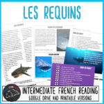 Les requins French reading comprehension activity printable & Google drive