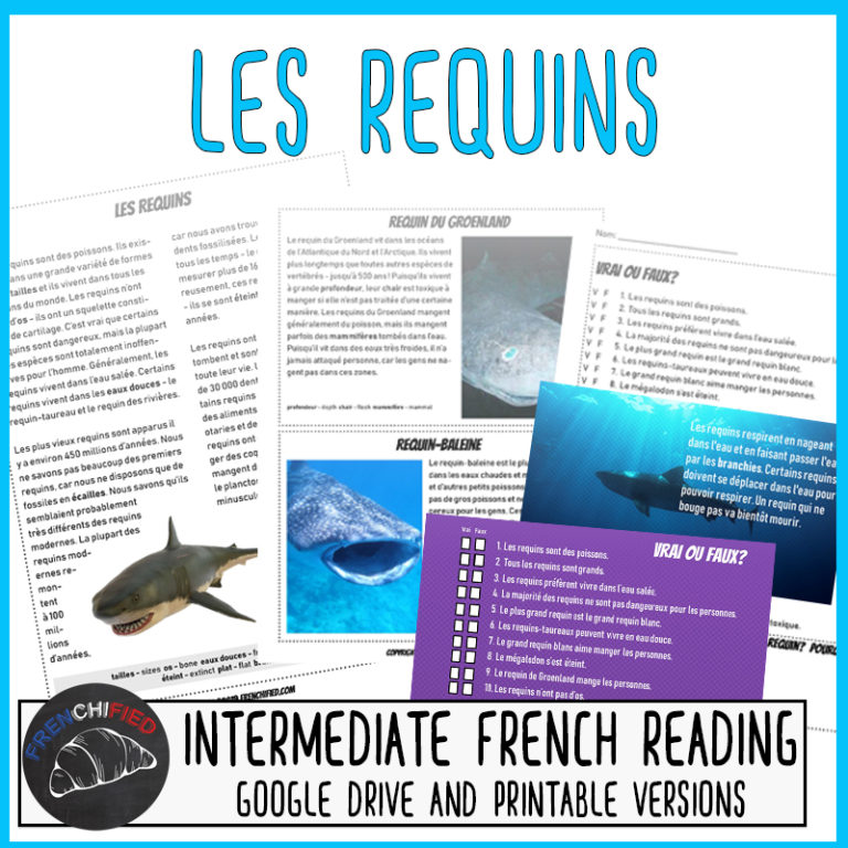 Les requins French reading comprehension activity printable & Google drive