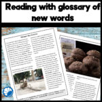 Manger les insectes French reading