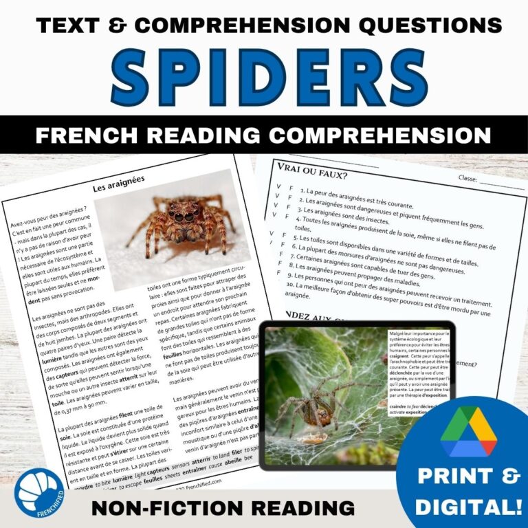 Spiders French reading activity