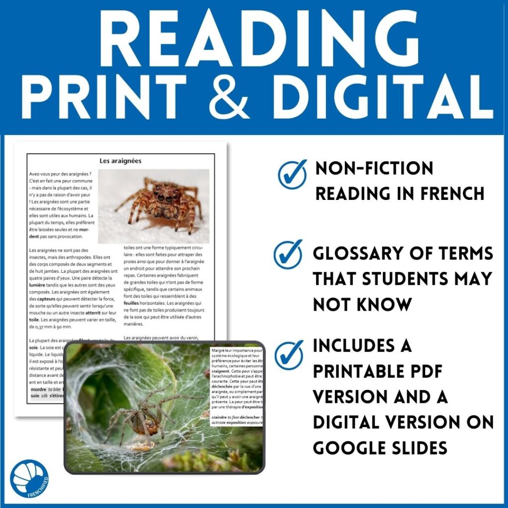 Spiders French reading activity