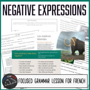 Intermediate French imparfait grammar lesson, readings, PPT and worksheets