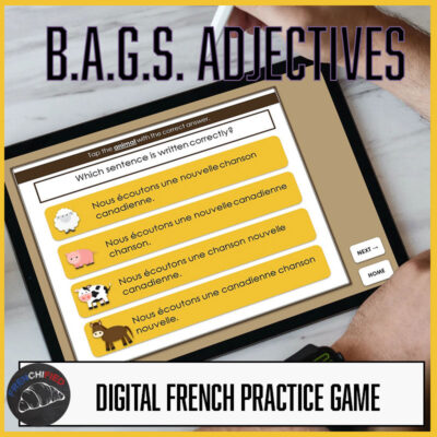 Digital game to practice Passé simple irregular verbs