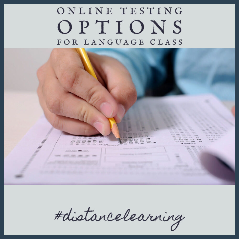 3 Useful Online language testing options