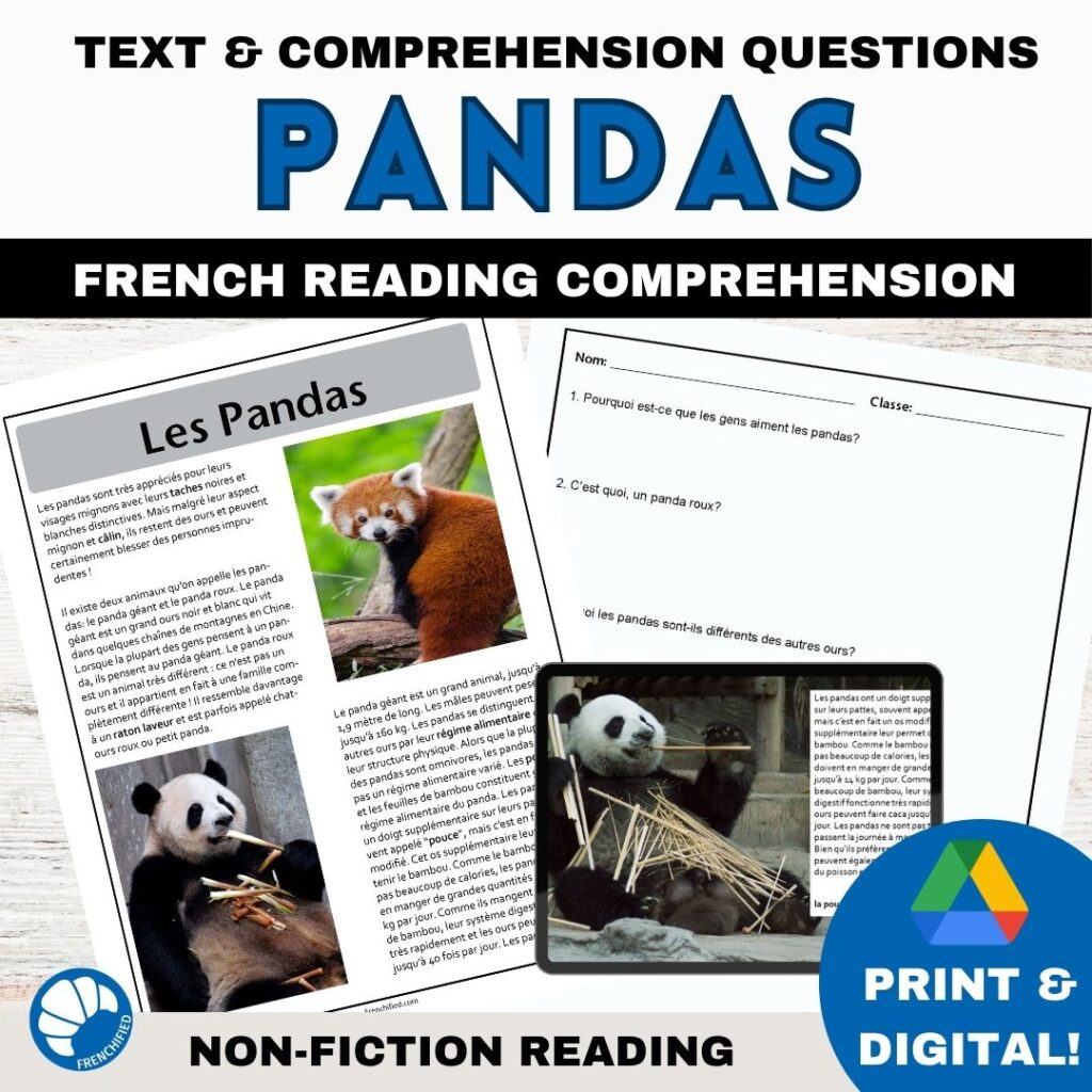 Pandas French reading comprehension activity