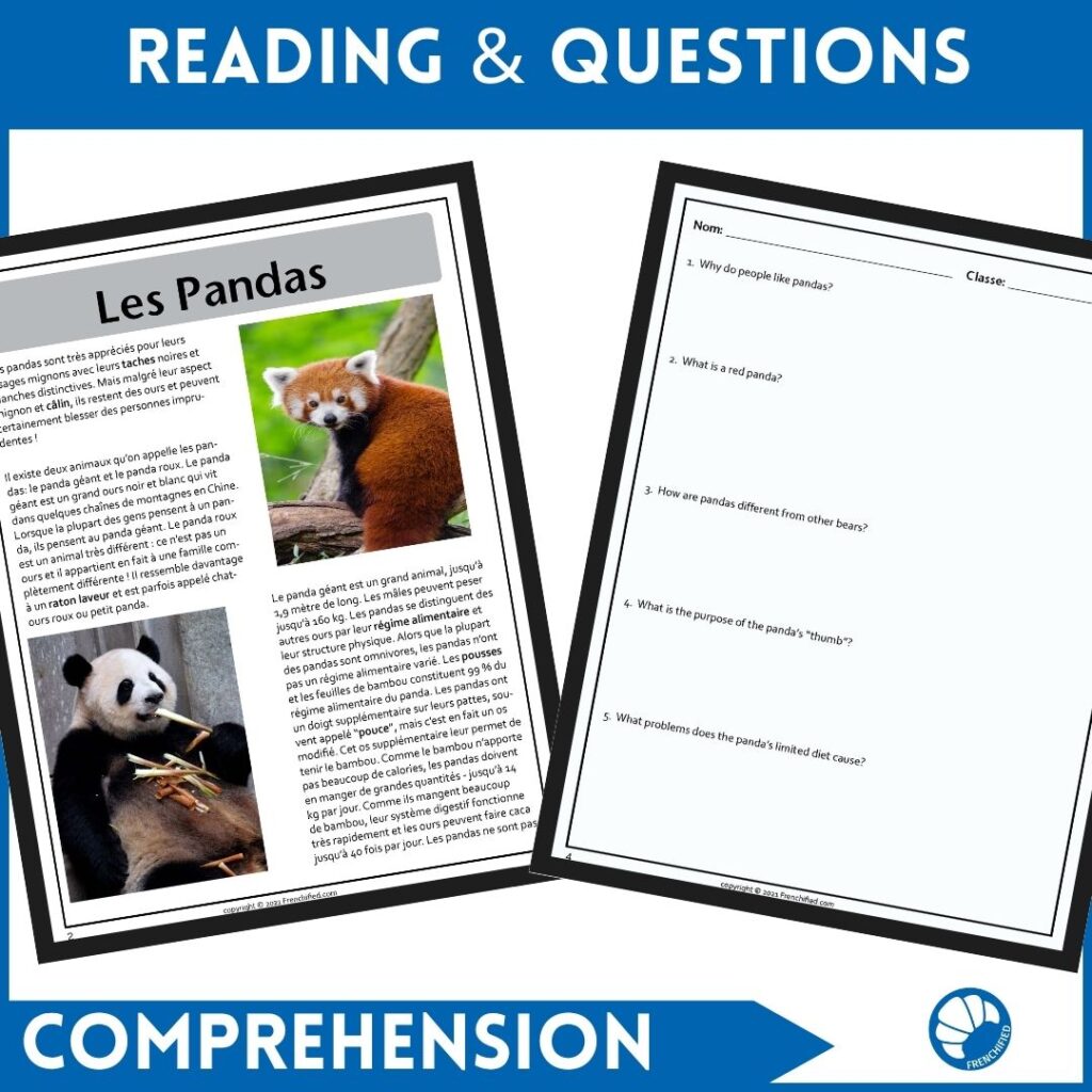 Pandas French reading comprehension activity