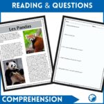 Pandas French reading comprehension activity