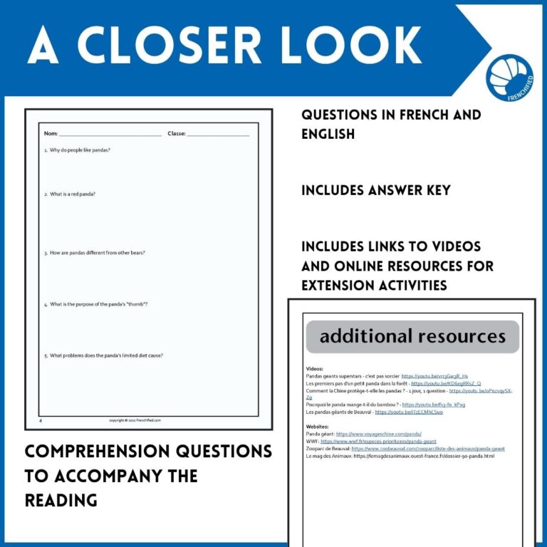 Pandas French reading comprehension activity