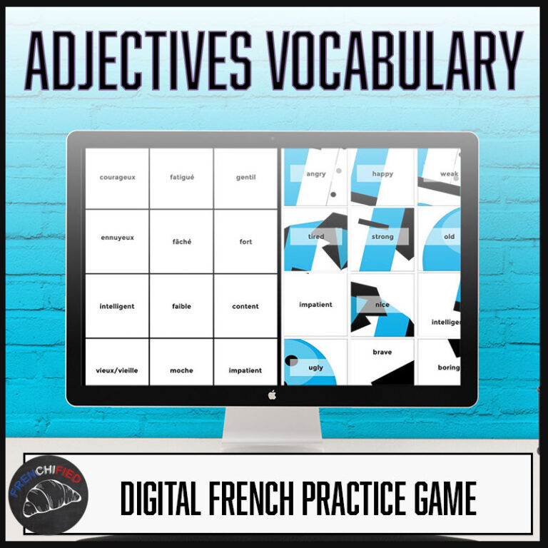 French adjective agreement digital game