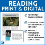 Animals in Space French reading comprehension activity