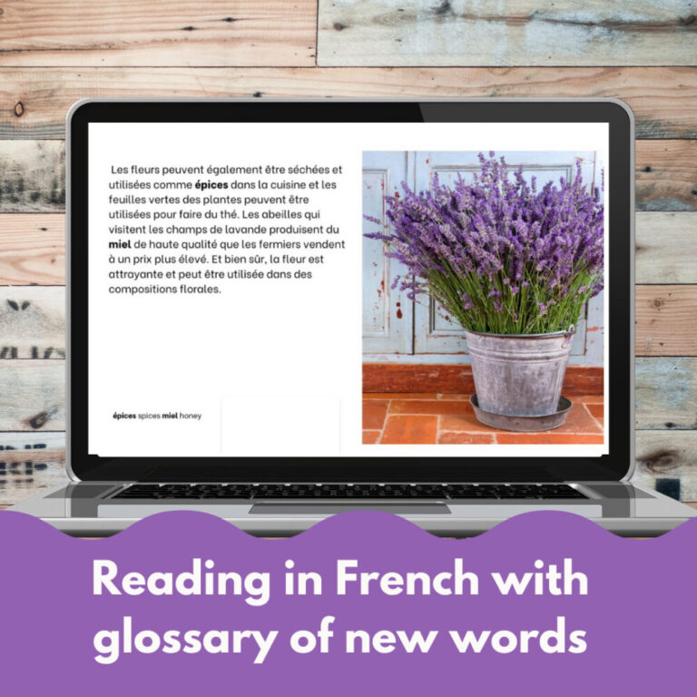 Lavender bundle - print and digital French reading activity