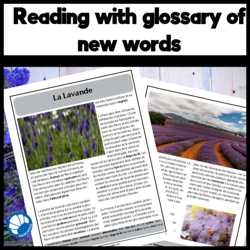 Lavender French reading comprehension activity