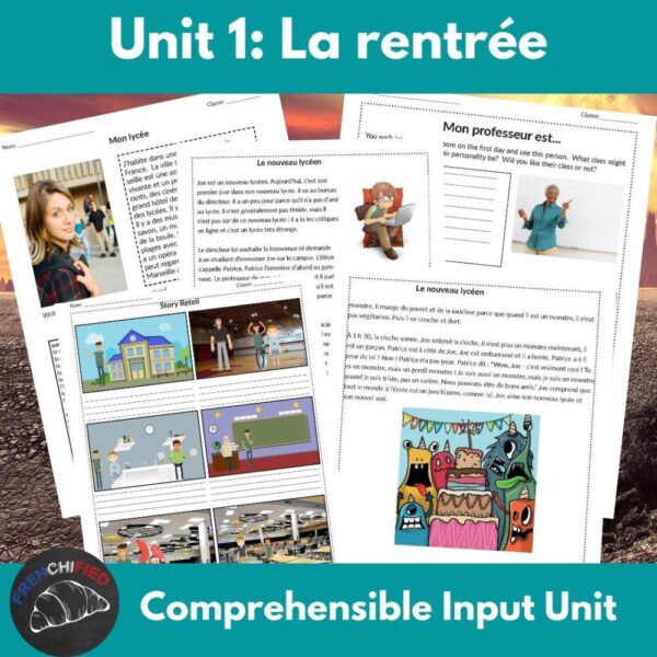 French level 2 Comprehensible Input unit 3 - Le Weekend Passé
