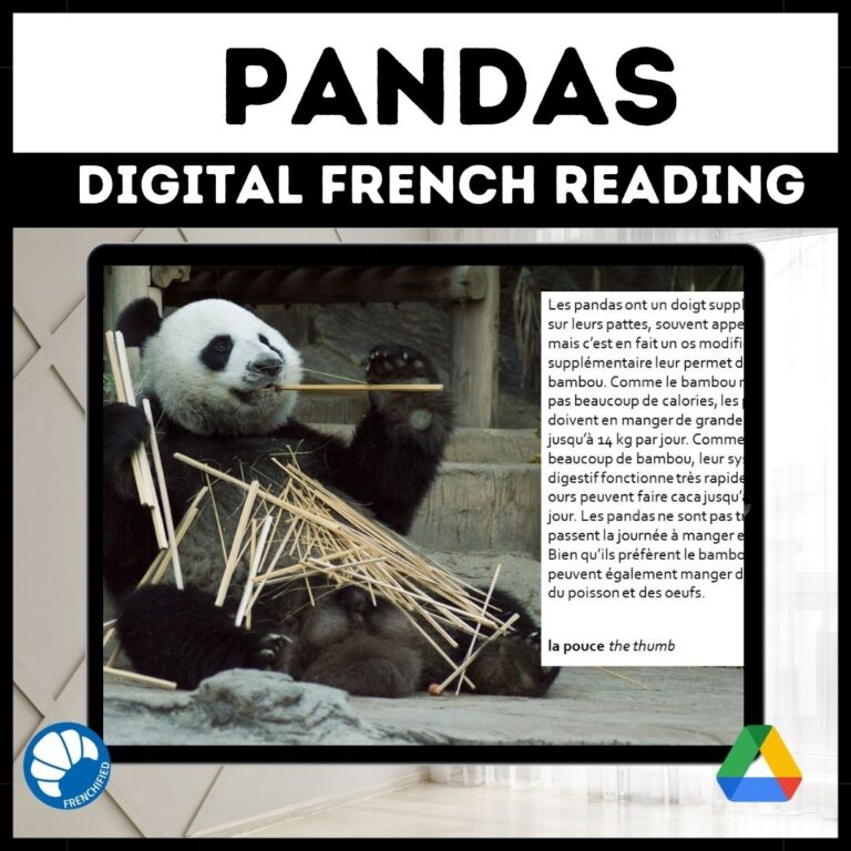 Pandas bundle French reading print and Google slides