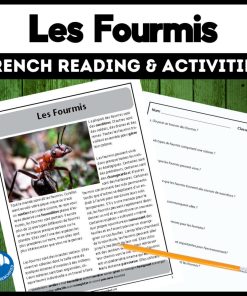 Ants French reading activity