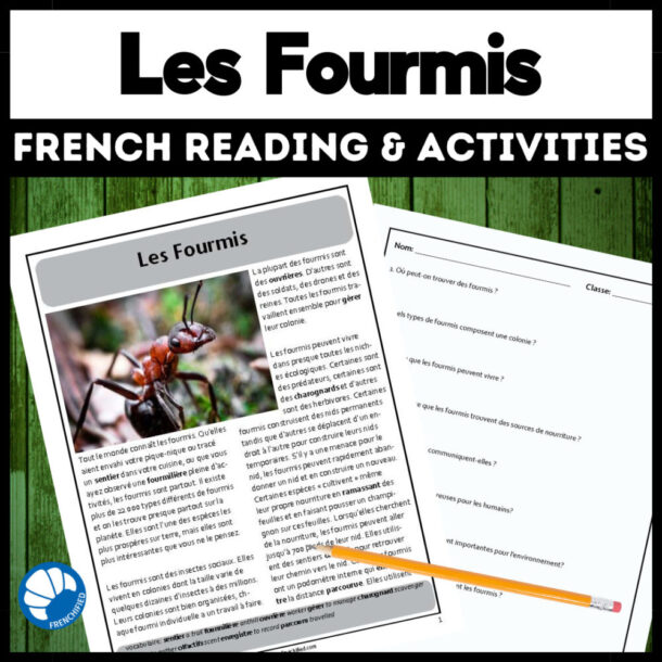 Ants French reading activity