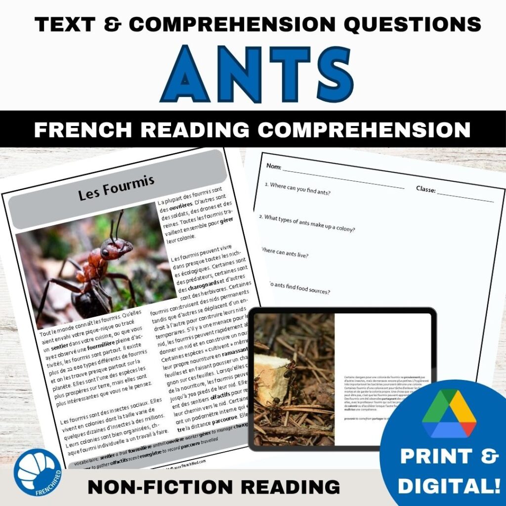 Ants French reading activity