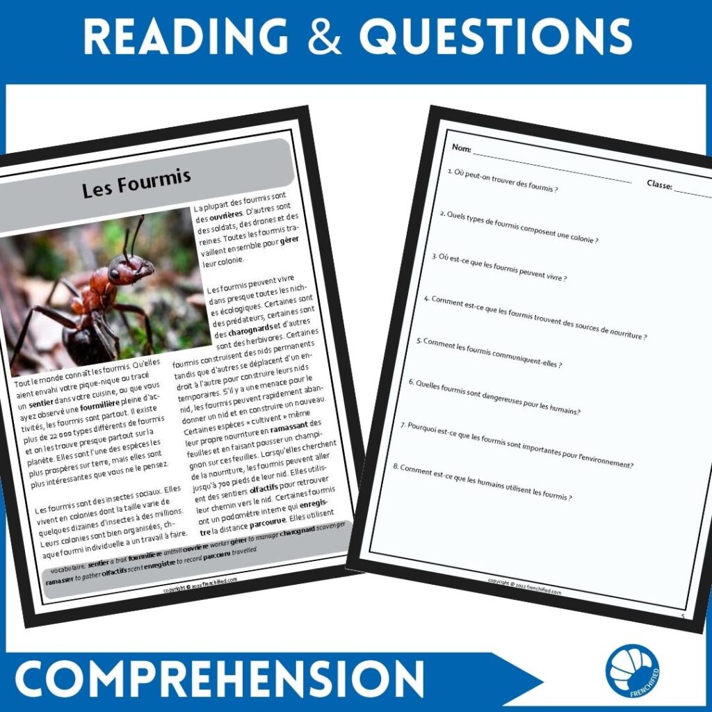 Ants French reading activity