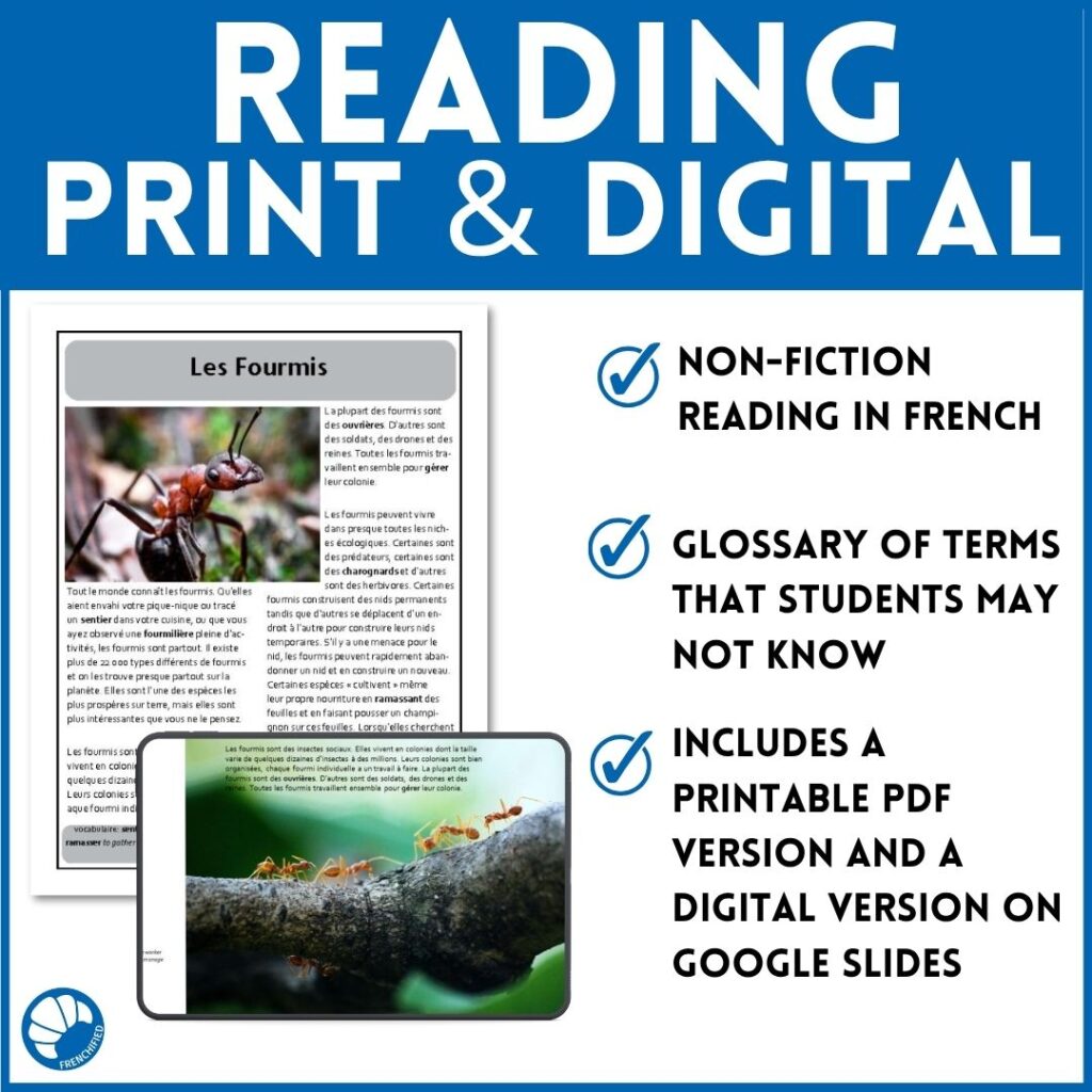 Ants French reading activity