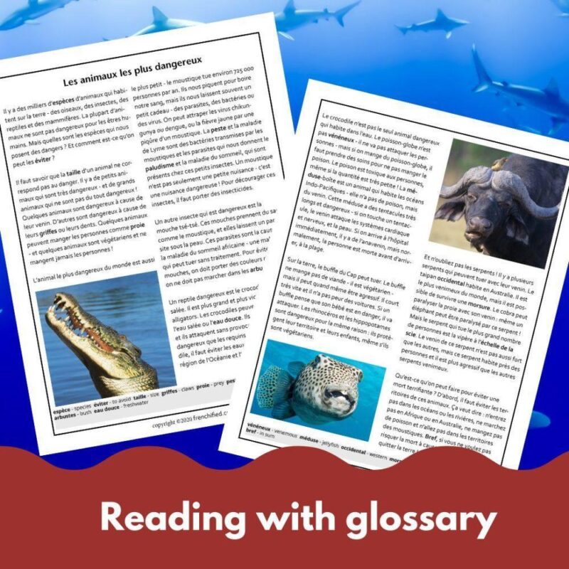 Dangerous animals French reading activity