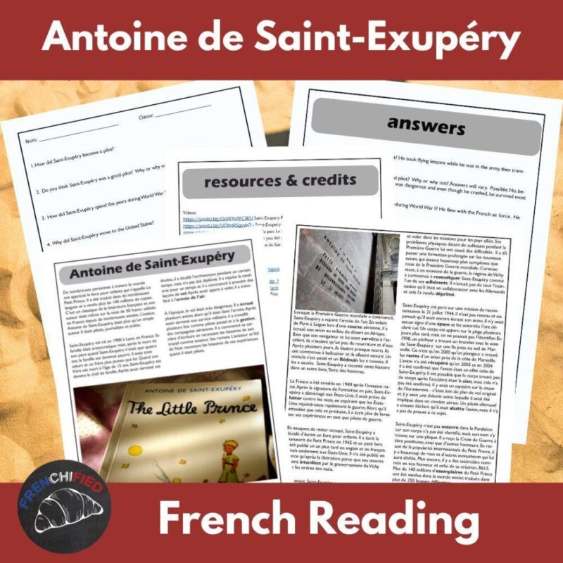 Les abeilles French reading comprehension activity printable & Google drive