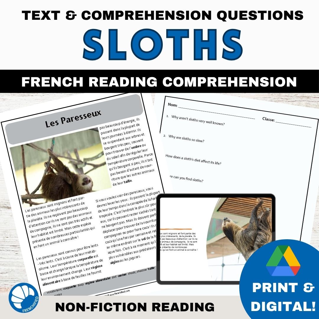Sloths French reading comprehension activity