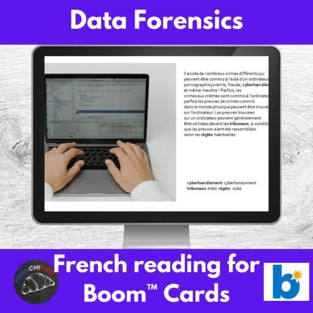 French scavenger hunt - fun review activity for the end of the year