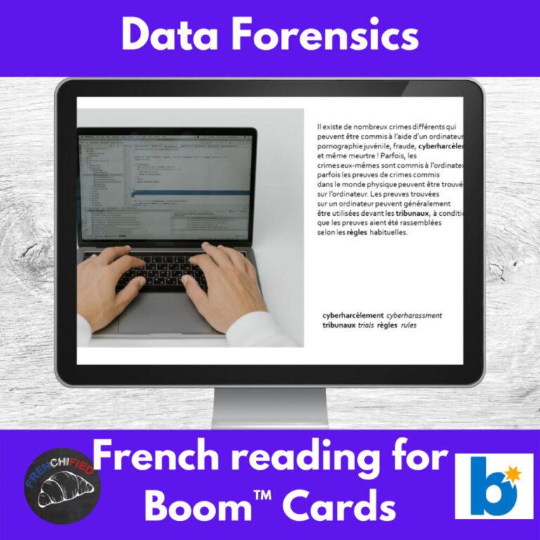 French scavenger hunt - fun review activity for the end of the year