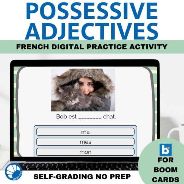 Possessive adjectives in French - digital practice game