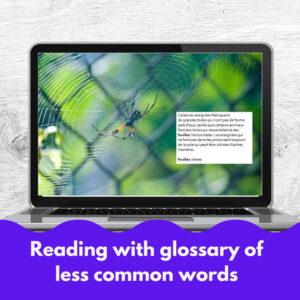 Spiders French reading activity for Boom Cards™