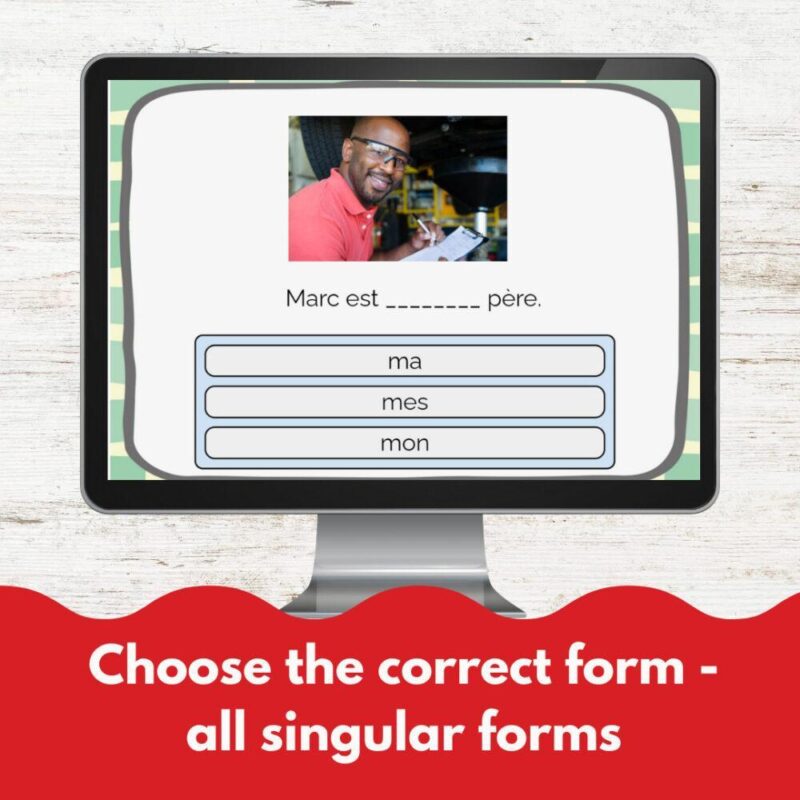 French Possessive Adjectives digital task cards