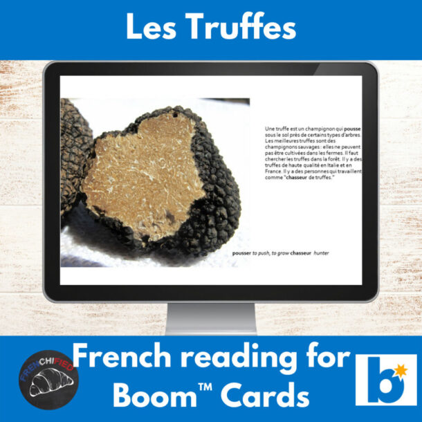 French reading comprehension activity - 2022 World Cup bundle