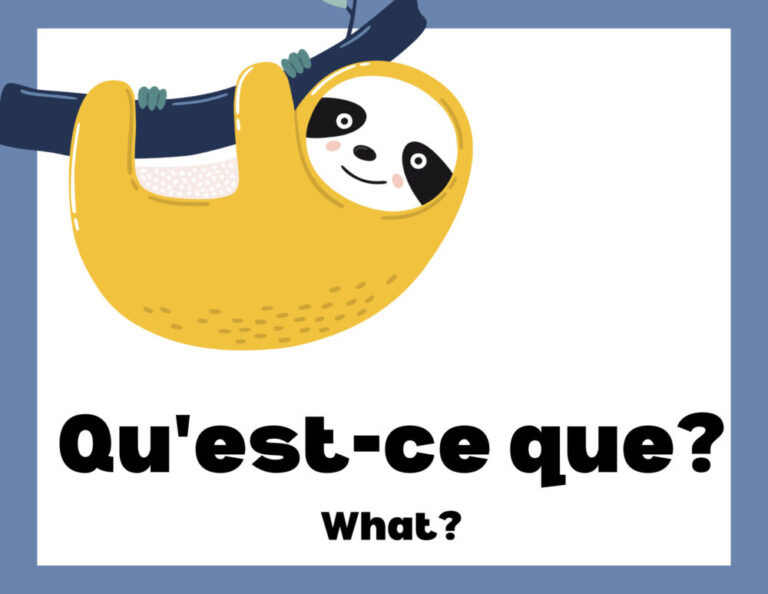 French question words posters freebie