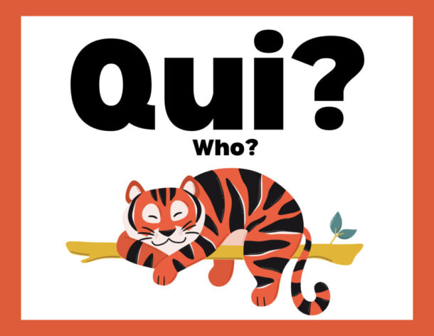 French question words posters freebie