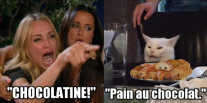 French memes - an authentic resource your students will love