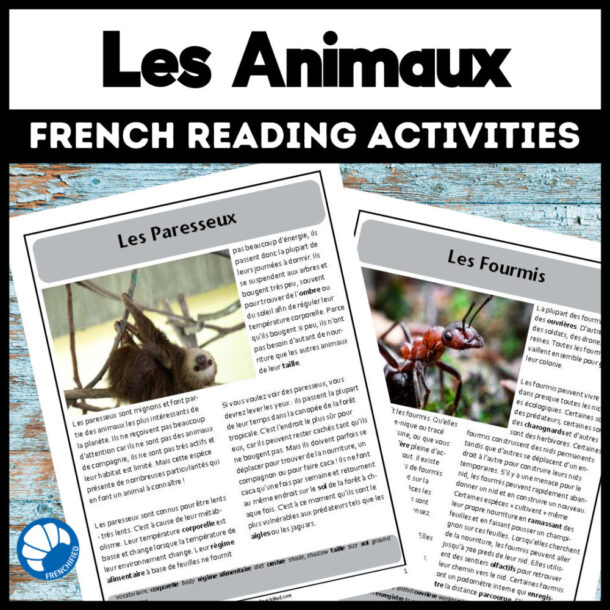 Sports bundle French reading comprehension activities