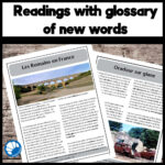 History bundle French reading comprehension activities