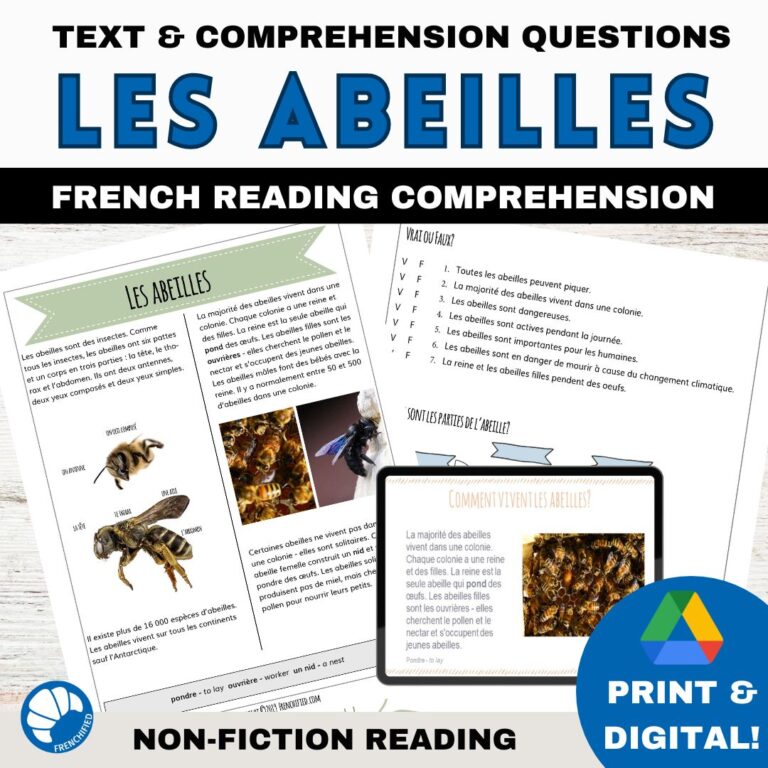 Les abeilles French reading comprehension activity printable & Google drive