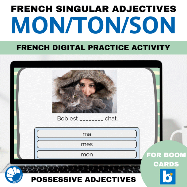 Possessive adjectives in French - digital practice game