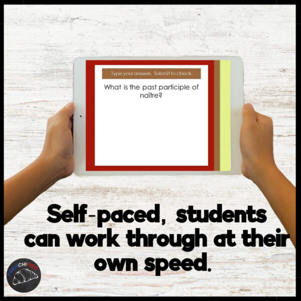 French Vandertramp verbs - Boom™ Cards