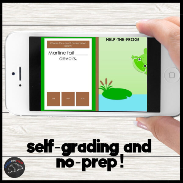 French possessive adjectives - Boom™ Cards