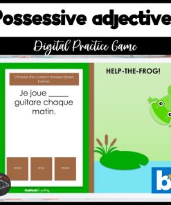 French possessive adjectives - Boom™ Cards