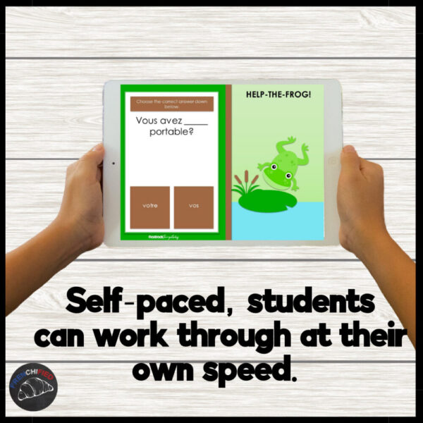 French possessive adjectives - Boom™ Cards