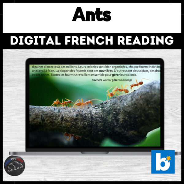 Ants for Boom™ cards French reading activity