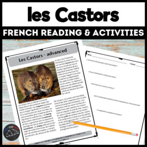 Social media French reading activity