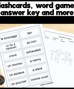 Extra French episode 11 worksheets - Les Vacances